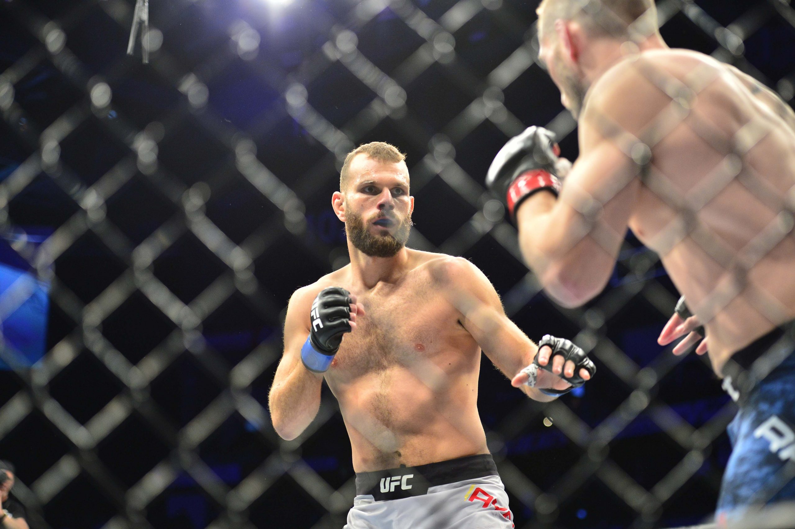 UFC on ESPN 16: Luigi Vendramini vs. Jessin Ayari Predictions - Pickswise